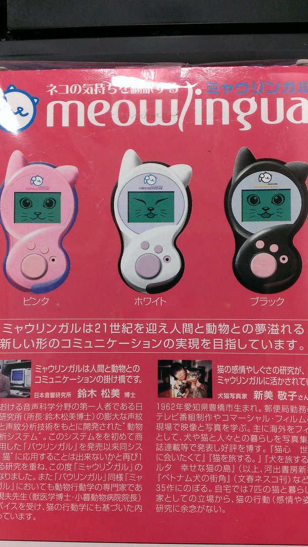 Meowlingual 喵喵喵翻譯機也來了！ | 寵毛網 | NOWnews今日新聞