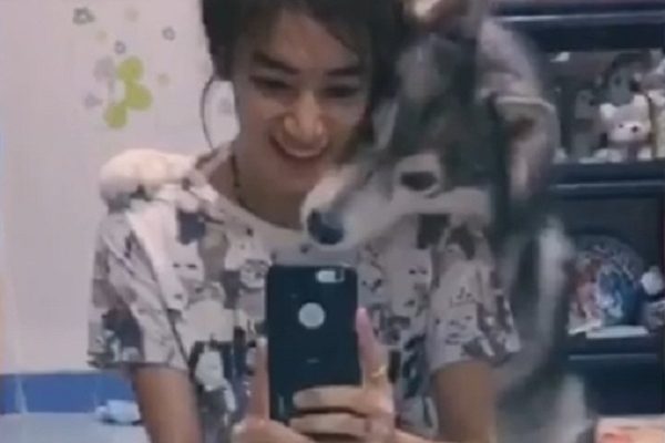 不能輸～月月搶自拍 姿勢100！ | 寵毛網 | NOWnews今日新聞