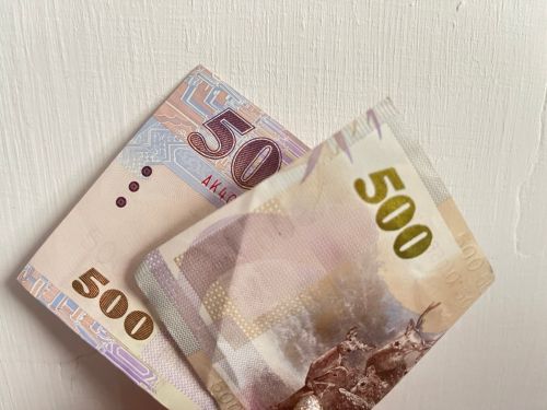 新台幣500元印梅花鹿！「隱藏意義」曝光 防偽線有學問 | 新奇 | NOWnews今日新聞