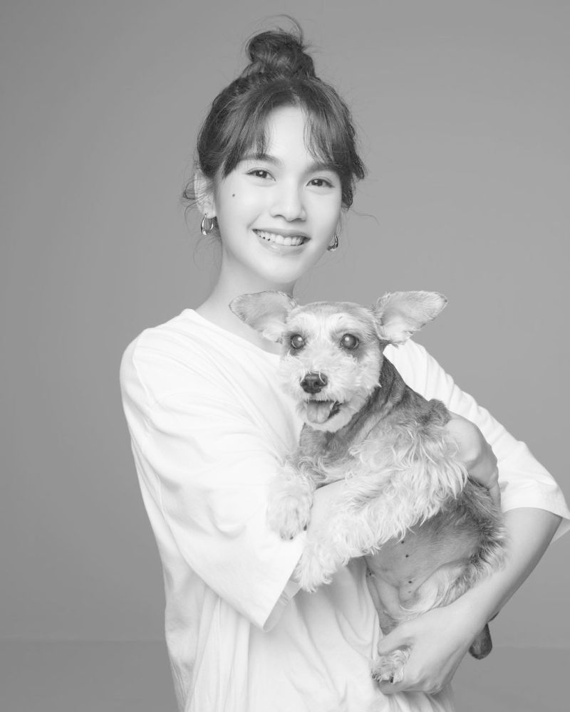 楊丞琳凌晨心痛曝「Yumi過世了」！死訊藏3個月不敢開口 | beanfun!