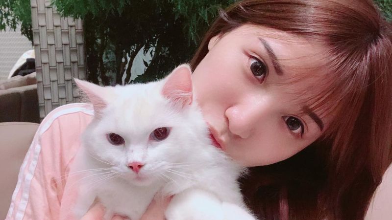 正妹寵物營養師太兇！脫白袍換「戰袍」 網友：照片厲害 | 娛樂 | NOWnews今日新聞