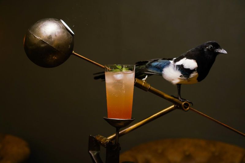 咖啡廳拒收兒童！12歲以下想進場：背出「圓周率30位」 | beanfun!