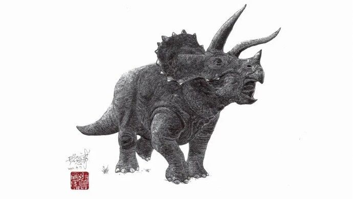 用「10元原子筆」畫的！超逼真巴黎聖母院 網封台版崔雄 | beanfun!