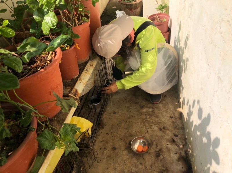 高雄登革熱增1例境外移入個案！自緬甸入境 無本土個案 | beanfun!