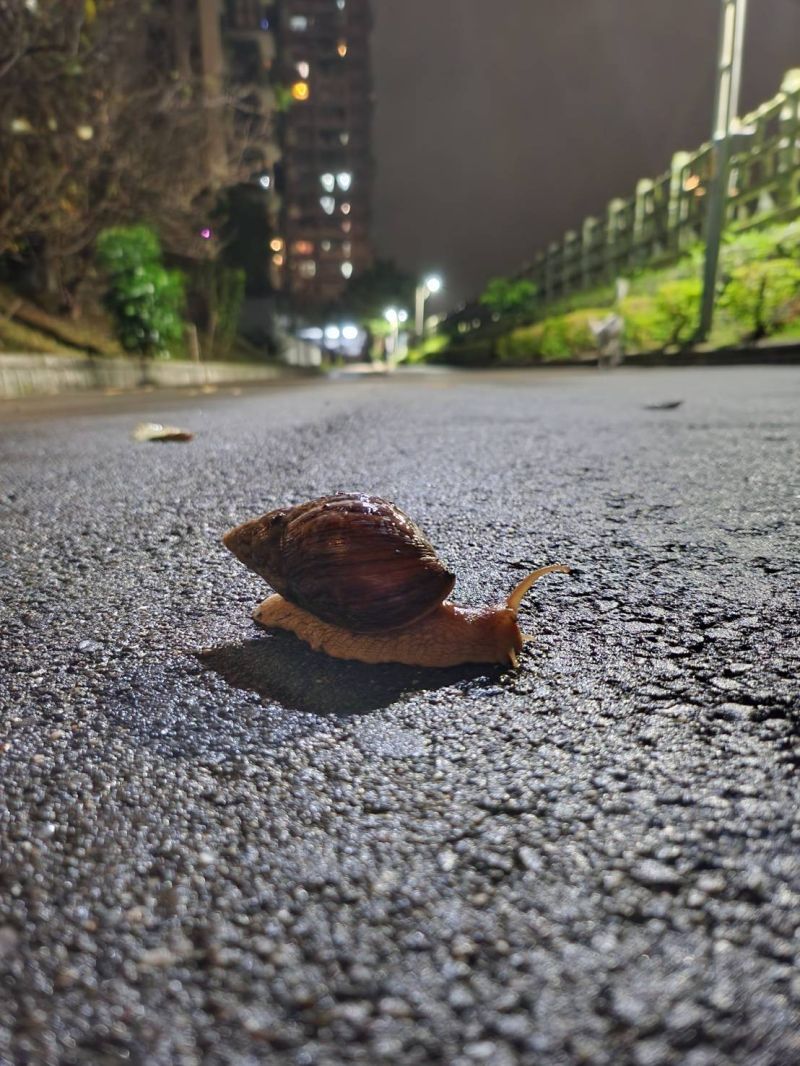 買前必看！三星摺疊機Flip4「上手一週」體驗：優缺全露 | beanfun!