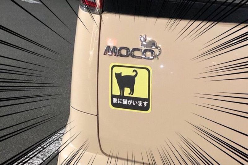 車尾放「黑貓貼紙」有含意！網揭用途籲：獨居奴才都該貼 | 寵毛星球 | 生活 | NOWnews今日新聞