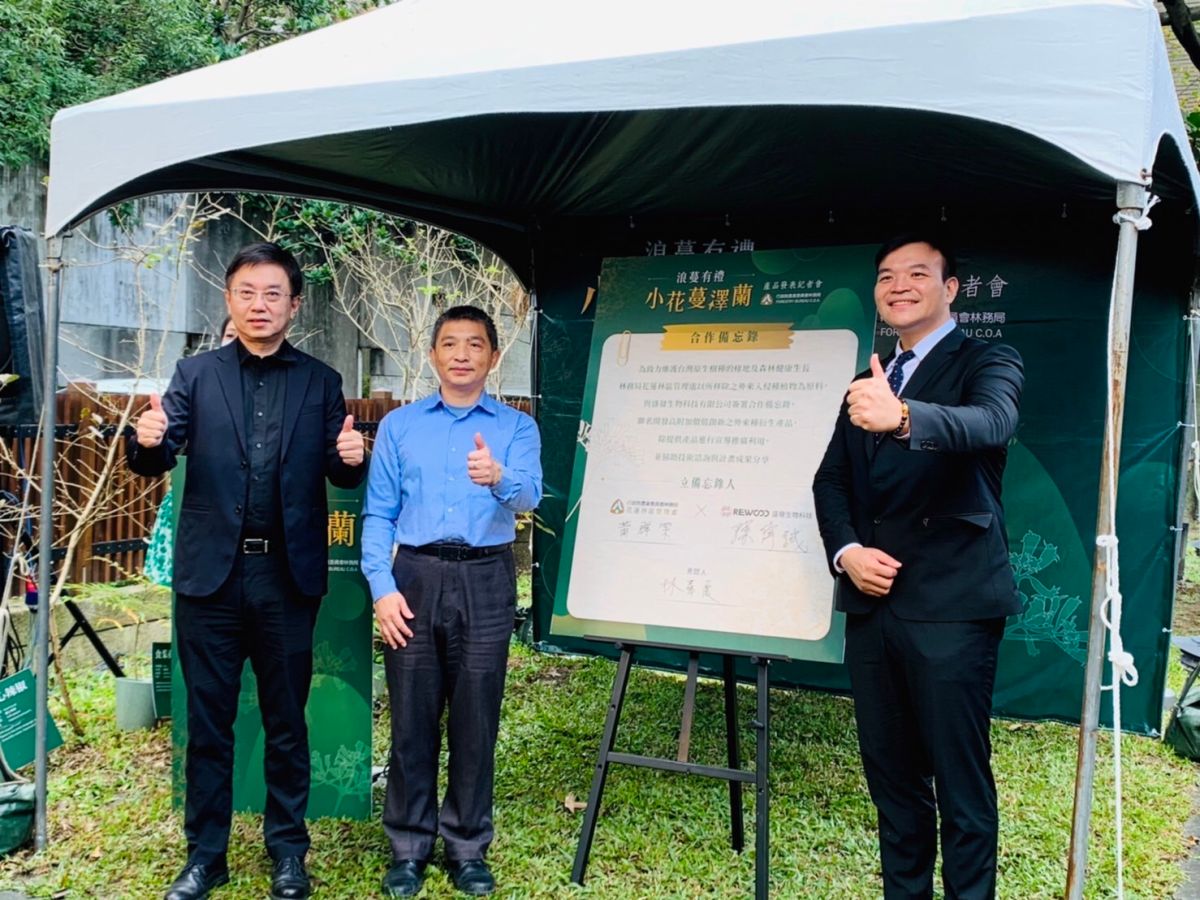 綠色殺手「小花蔓澤蘭」變身新春好禮 首批試賣300組 | 生活焦點 | 要聞 | NOWnews今日新聞