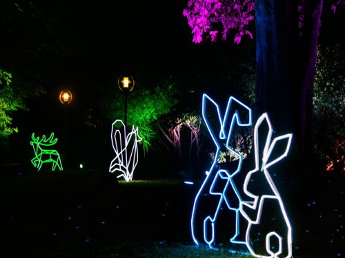 高雄蓮潭燈會作品亮相！初二回娘家搶先看 | 地方 | NOWnews今日新聞