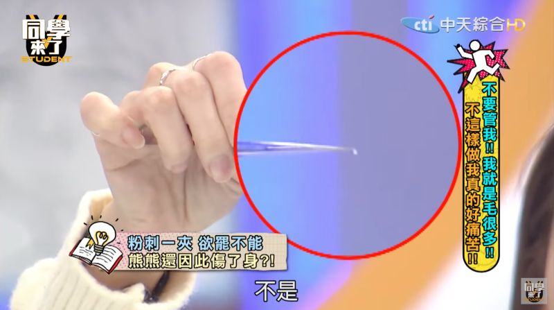 熊熊自爆「夾上癮」歷任男友都難逃！阿KEN現場一試秒中 | beanfun!