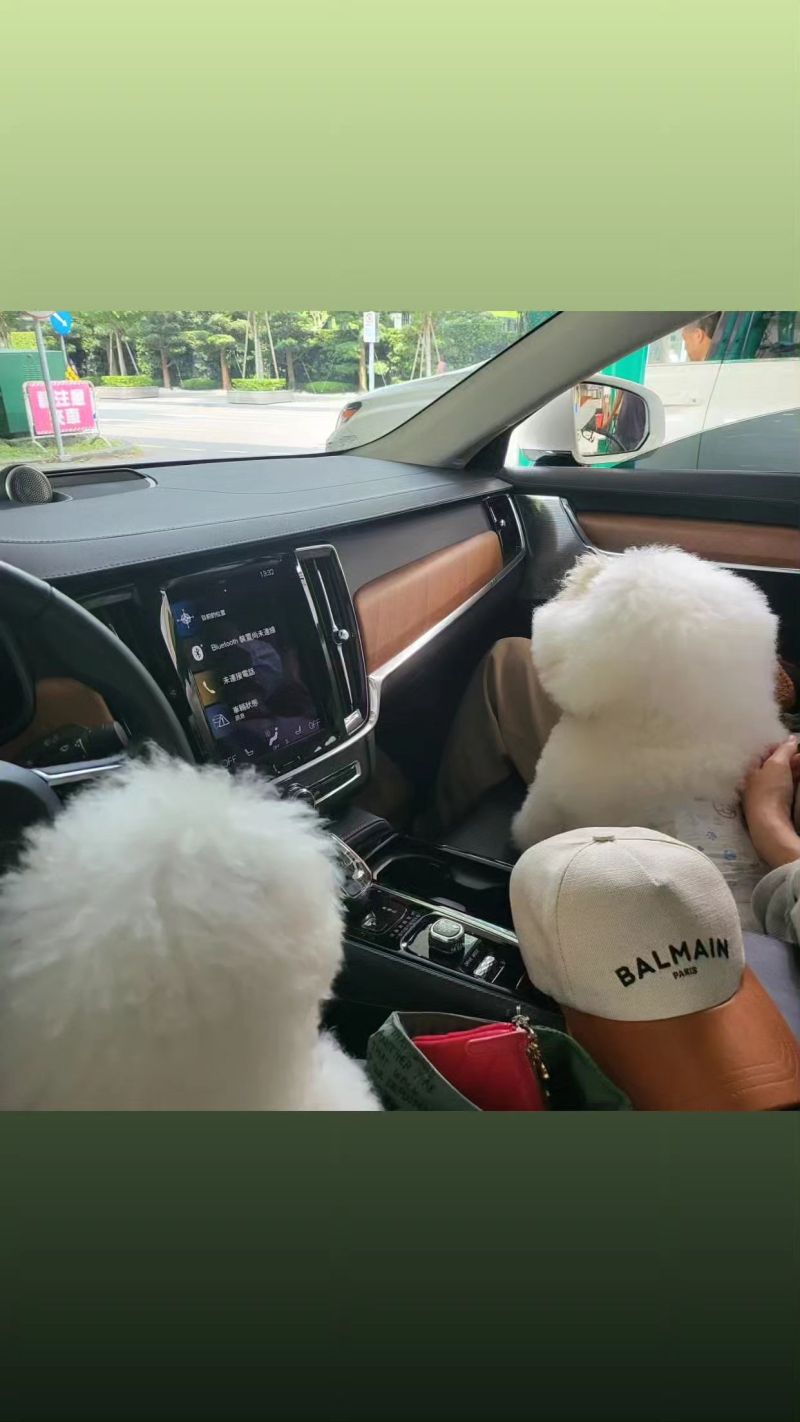 蔡依林出門約會！42歲面貌宛如女大學生 | beanfun!