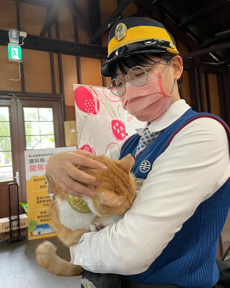 台鐵集集貓站長「1理由」被資遣 鎮公所：不再值勤！最終下場曝 | 生活 | NOWnews今日新聞
