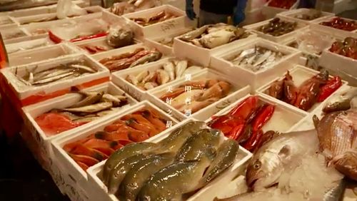 「饗A JOY」最高86樓Buffet來了！7月中登台北101 首波菜色曝光 | 美食旅遊 | 生活 | NOWnews今日新聞