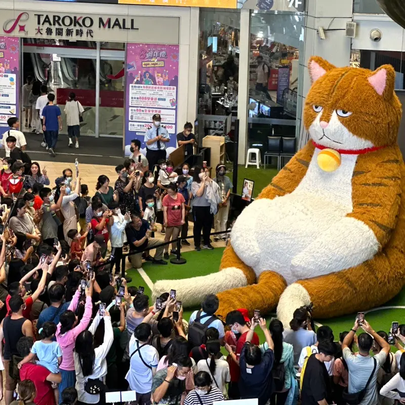 一張圖看厭世橘貓爆高人氣 今日起快閃台中 | beanfun!