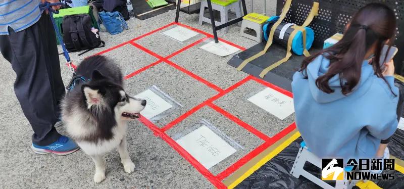 粉絲「畫領地」卡到神位！為了見許光漢冥婚 | beanfun!