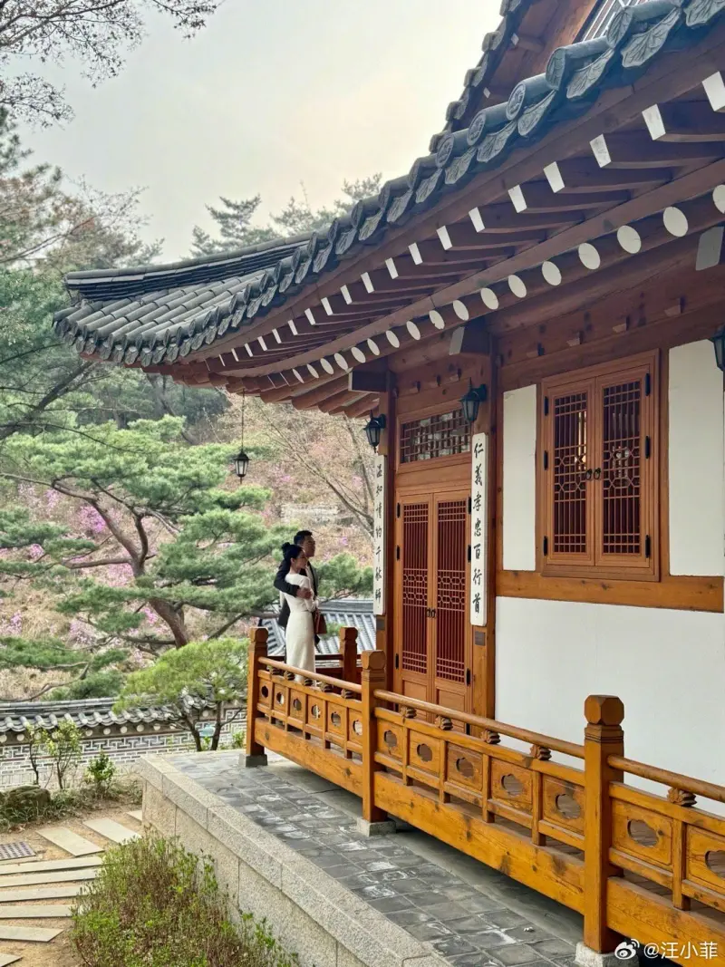 放閃不輸大S！汪小菲韓國摟未婚妻Mandy合影 | beanfun!