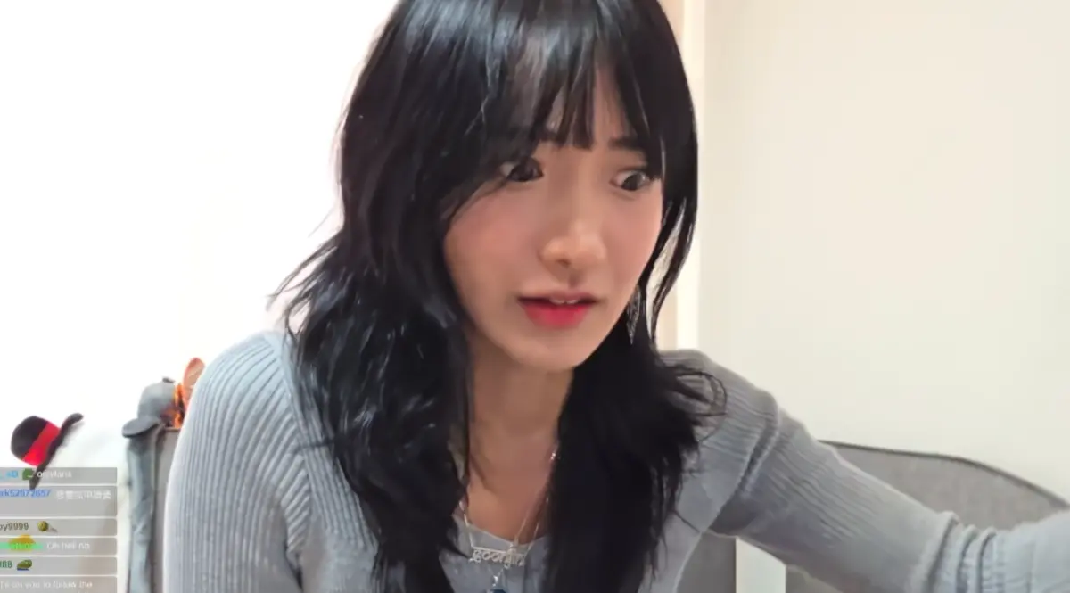 企鵝妹「禁止入境台灣」到2028年！真實原因曝光 就業金卡也沒了 | 生活 | NOWnews今日新聞