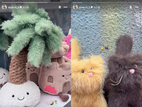 樂天Dora被捲富商小三風波！神隱1個月突發聲 連發2照近況曝光 | 娛樂 | NOWnews今日新聞