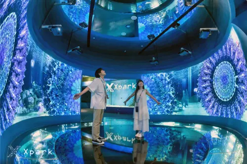 8月壽星免費玩六福村！身分證「810」優惠 Xpark門票「殺半價」 | 美食旅遊 | 生活 | NOWnews今日新聞