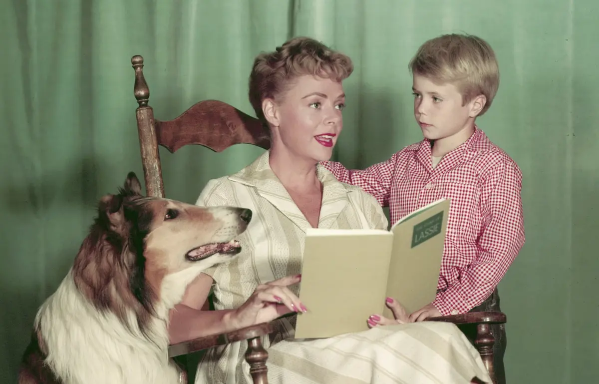 螢幕最暖媽媽走了！《靈犬萊西》瓊洛克哈特百歲去世 從影80年 | 娛樂 | NOWnews今日新聞